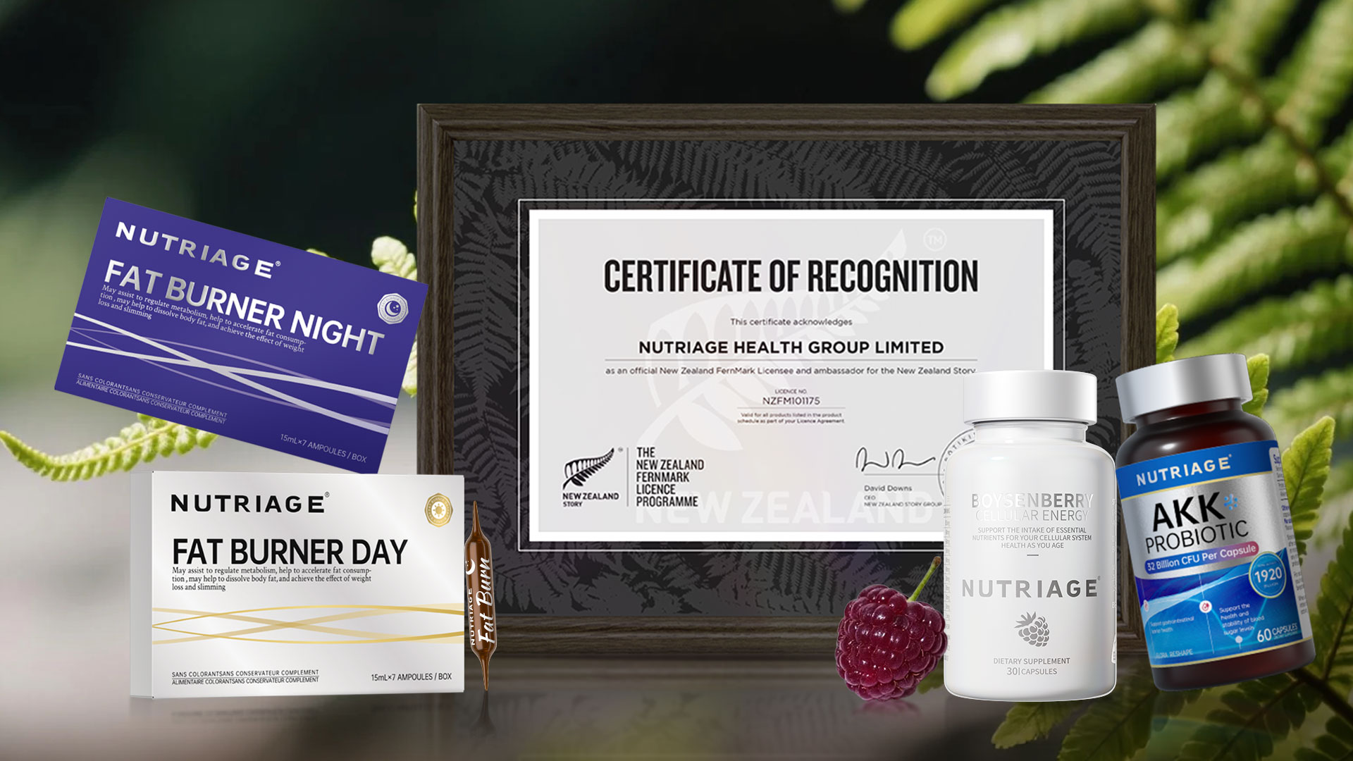 第八届进博会将启，NutriAge纽萃然携新友谱新篇-中华新闻
